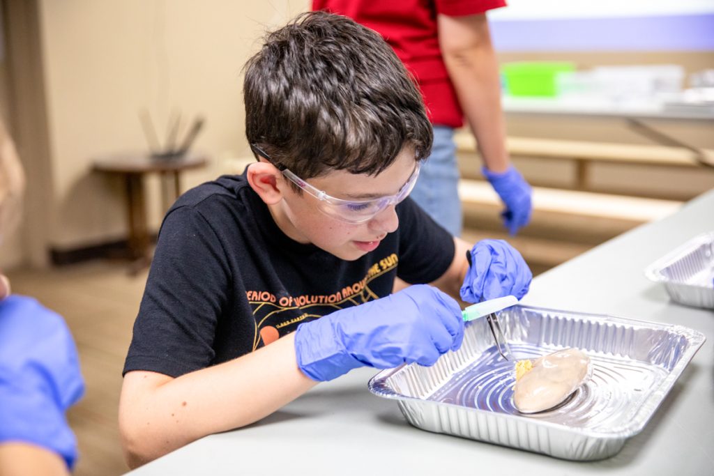 STEAM Summer Camp – The STEAM Project | The STEAM Project